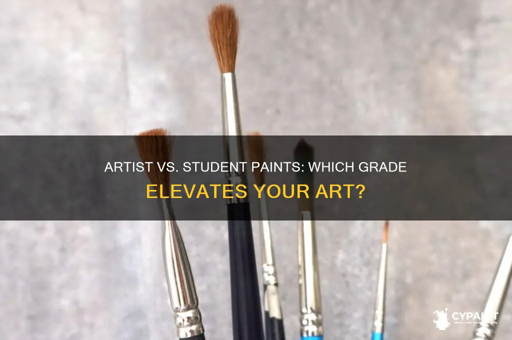 Artist Vs. Student Paints: Which Grade Elevates Your Art? | CyPaint