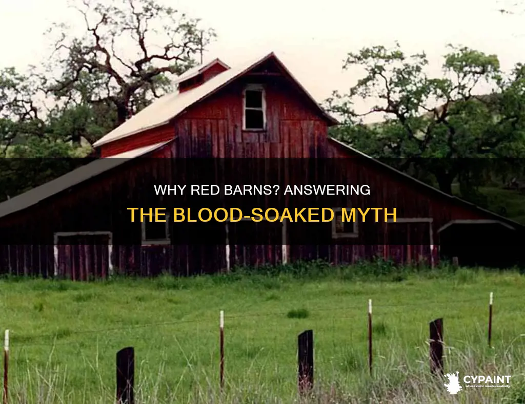 Why Red Barns? Answering The Blood-Soaked Myth | CyPaint