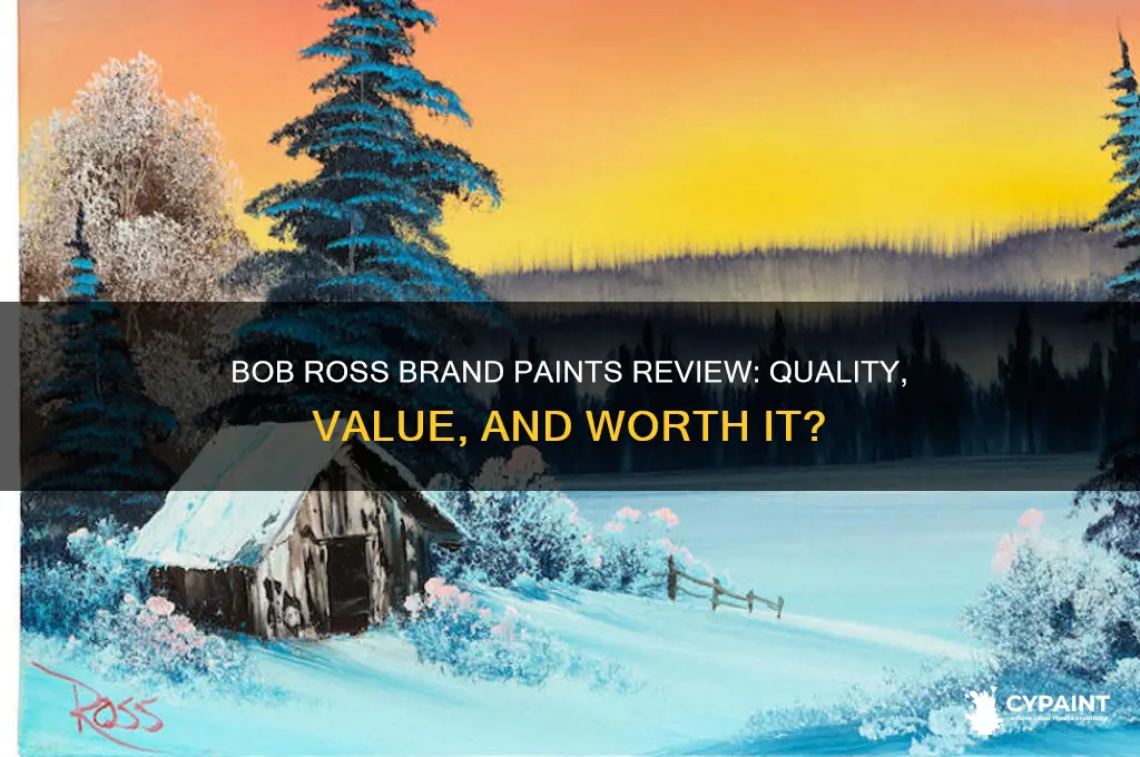 Bob Ross Brand Paints Review: Quality, Value, And Worth It? | CyPaint