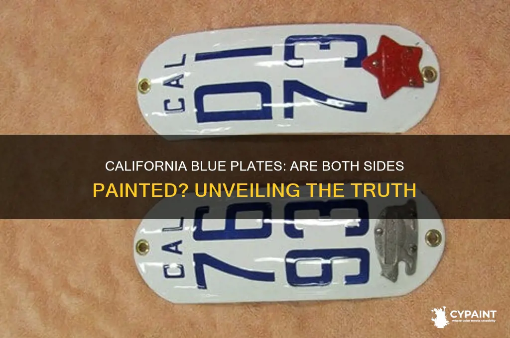 California Blue Plates: Are Both Sides Painted? Unveiling The Truth ...