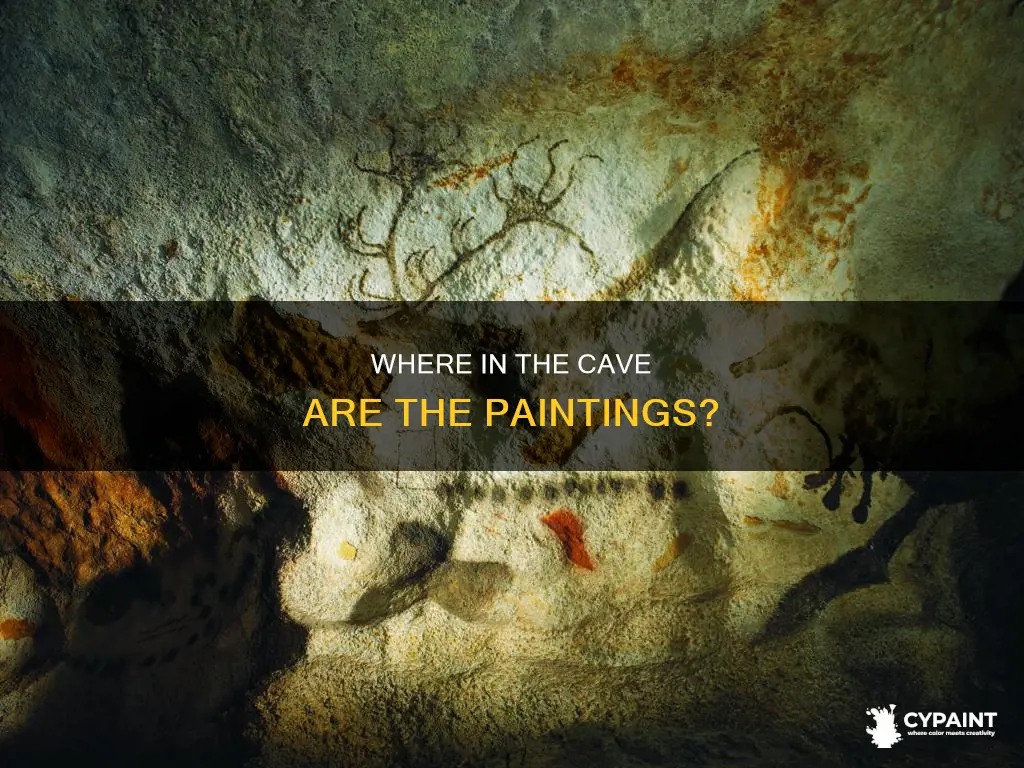 Where In The Cave Are The Paintings? | CyPaint
