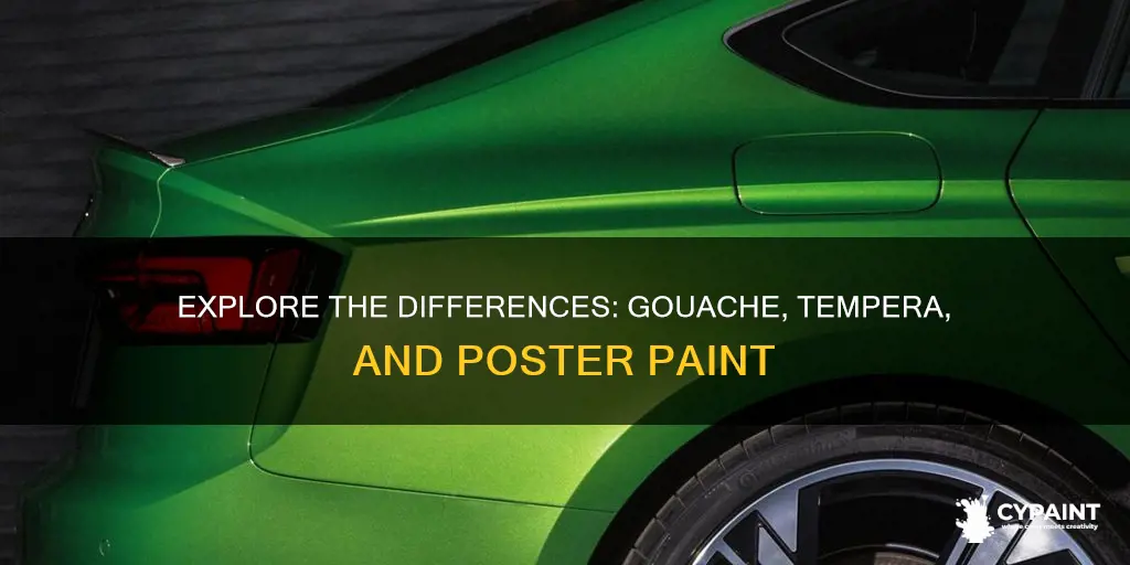 Explore The Differences: Gouache, Tempera, And Poster Paint | CyPaint