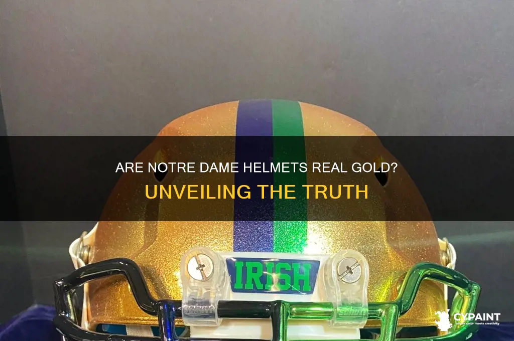Are Notre Dame Helmets Real Gold? Unveiling The Truth | CyPaint