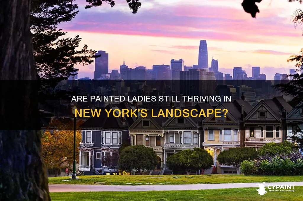 Are Painted Ladies Still Thriving In New York's Landscape? | CyPaint
