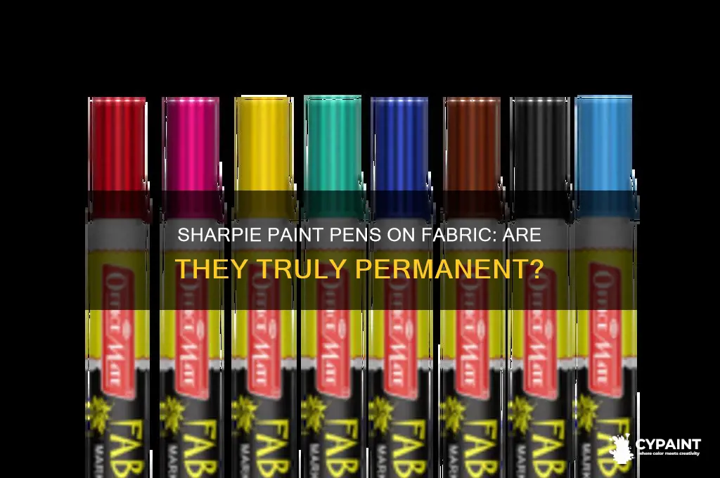 Sharpie Paint Pens On Fabric: Are They Truly Permanent? | CyPaint