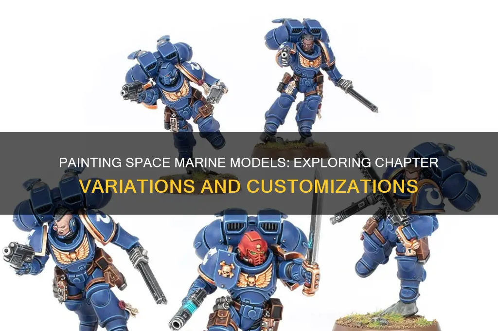 Painting Space Marine Models: Exploring Chapter Variations And ...