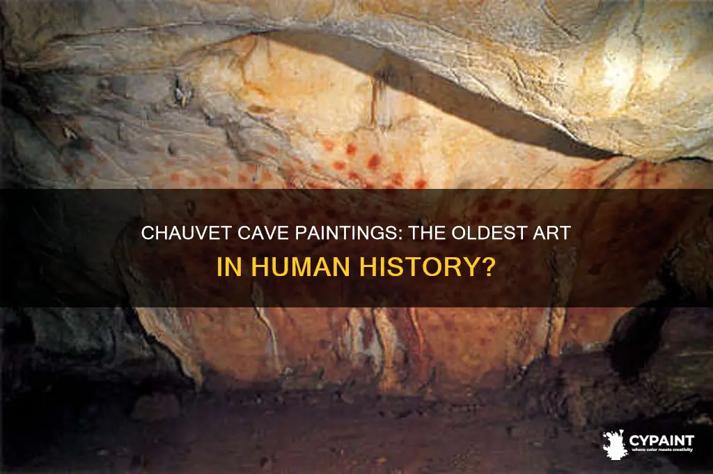 Chauvet Cave Paintings: The Oldest Art In Human History? | CyPaint