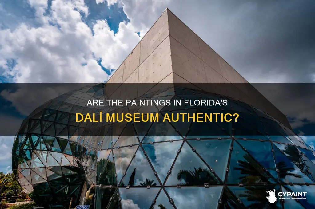Are The Paintings In Florida's Dalí Museum Authentic? | CyPaint