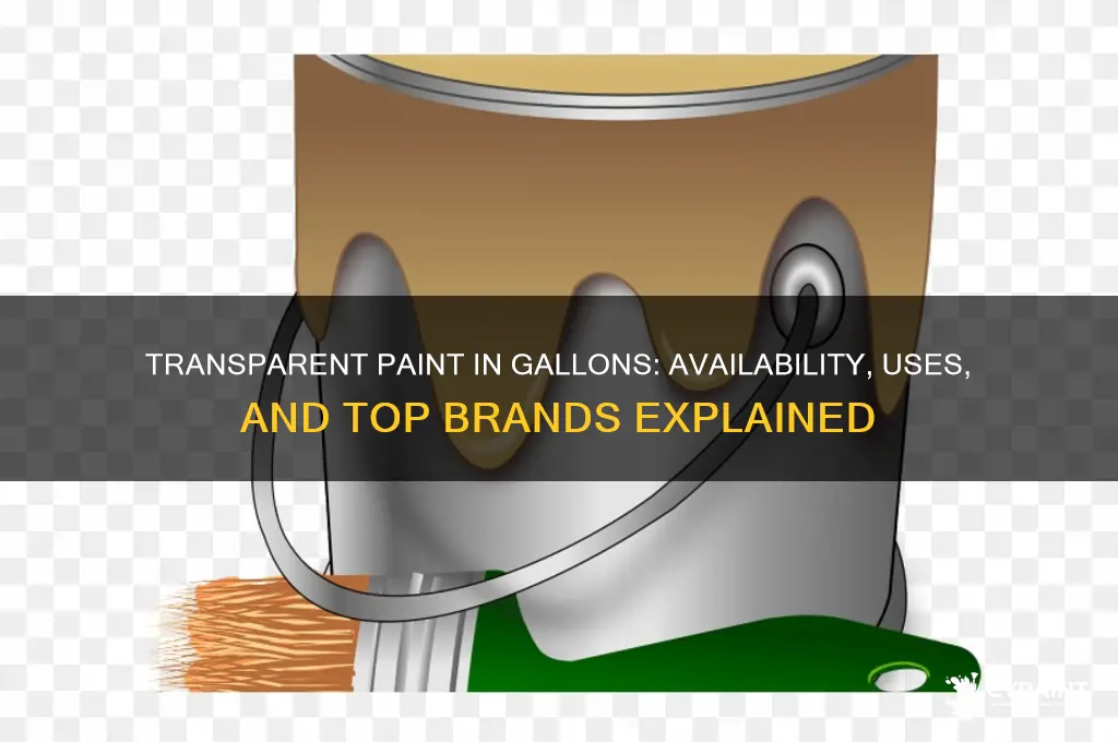 Transparent Paint In Gallons: Availability, Uses, And Top Brands ...