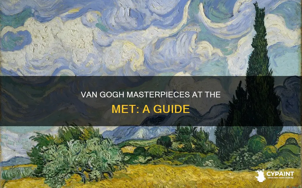 Van Gogh Masterpieces At The Met: A Guide | CyPaint