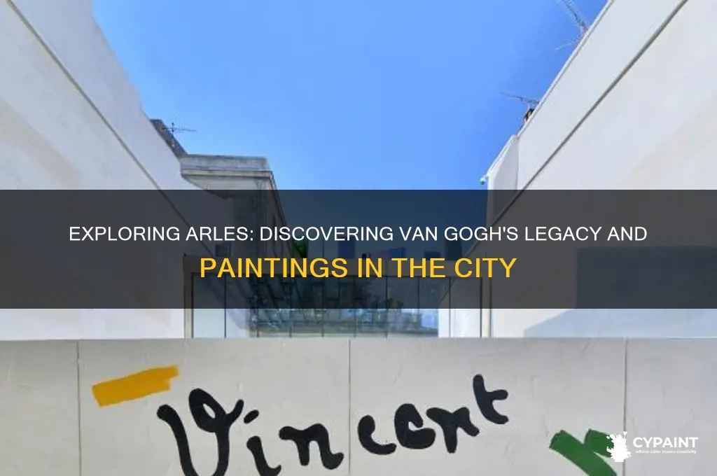Exploring Arles: Discovering Van Gogh's Legacy And Paintings In The ...