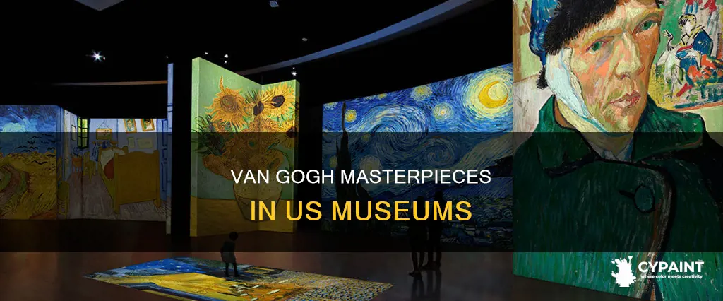 Van Gogh Masterpieces In Us Museums | CyPaint