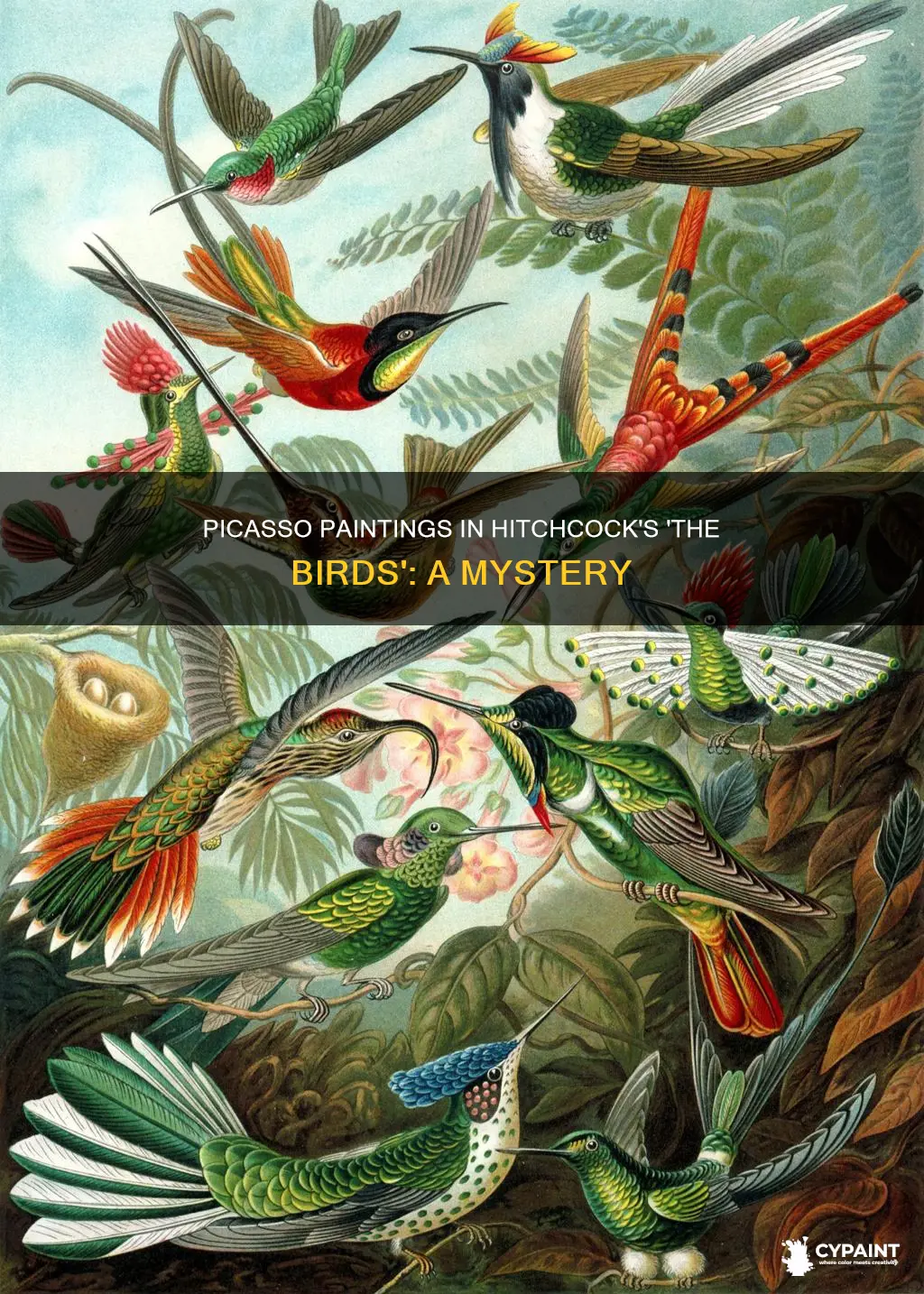 Picasso Paintings In Hitchcock's 'The Birds': A Mystery | CyPaint