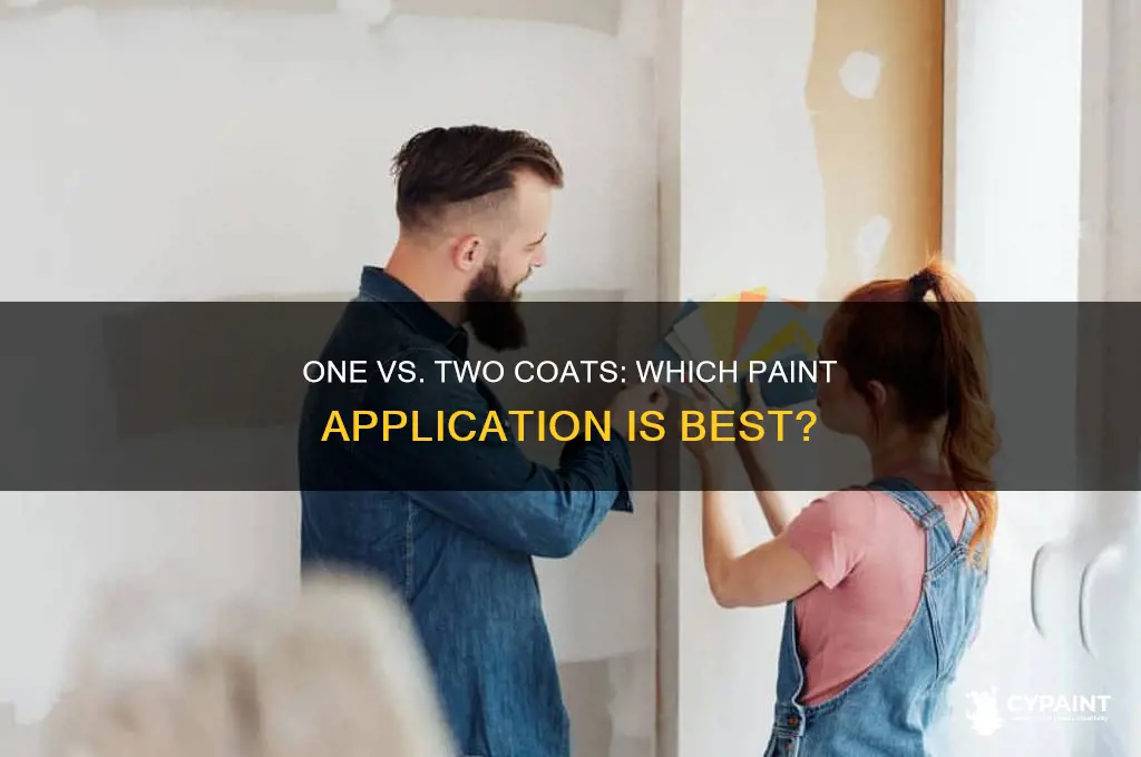 One Vs. Two Coats: Which Paint Application Is Best? | CyPaint