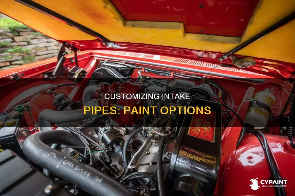 Customizing Intake Pipes: Paint Options | CyPaint