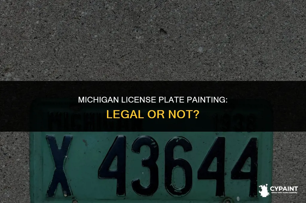 Can I Paint My License Plate