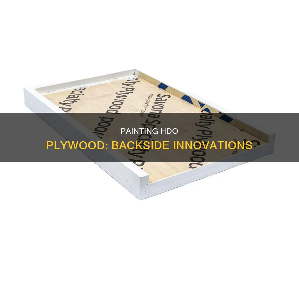Painting Hdo Plywood: Backside Innovations | CyPaint