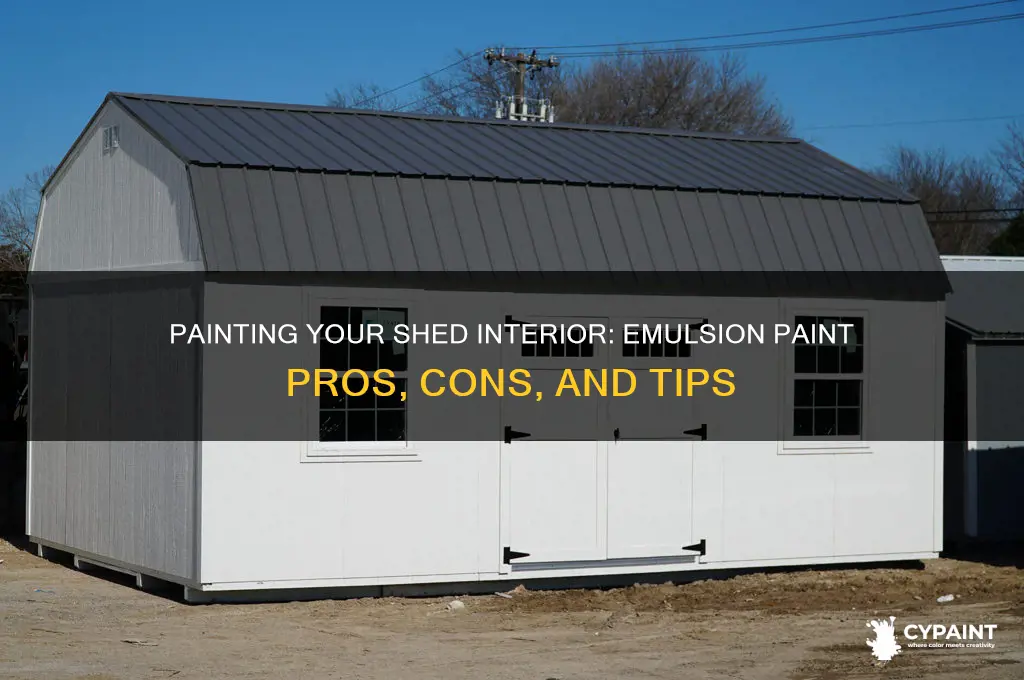 Painting Your Shed Interior: Emulsion Paint Pros, Cons, And Tips | CyPaint