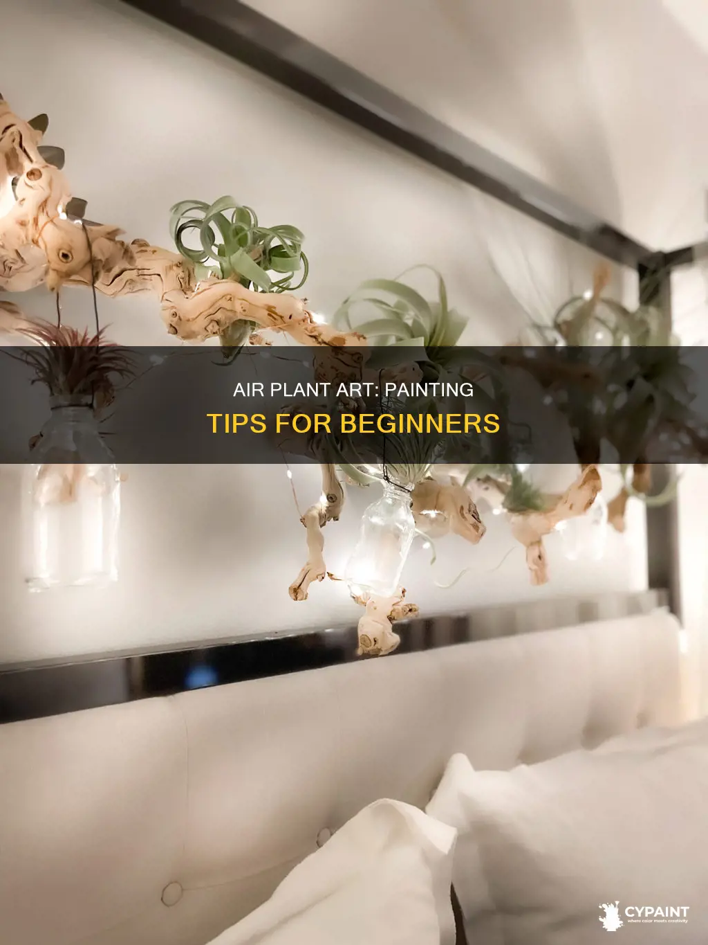 Air Plant Art: Painting Tips For Beginners | CyPaint
