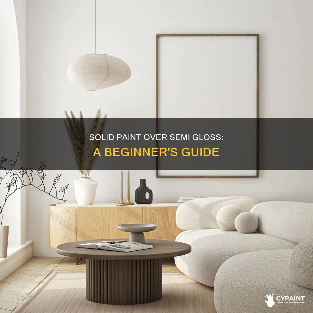 Solid Paint Over Semi Gloss: A Beginner's Guide | CyPaint