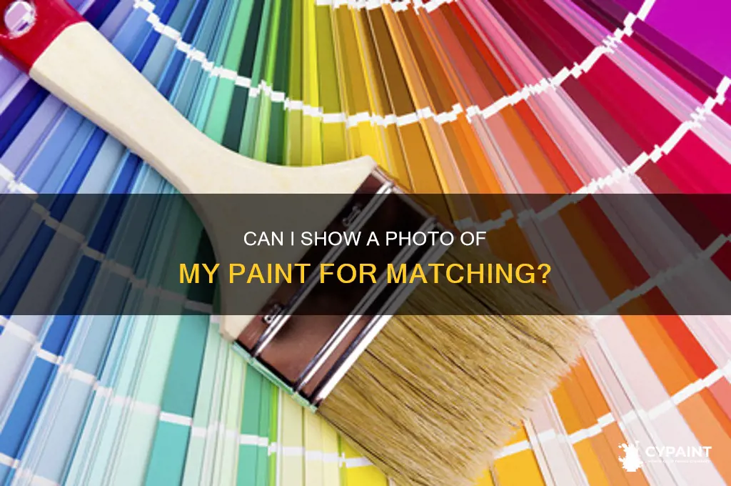 Can I Show A Photo Of My Paint For Matching? | CyPaint