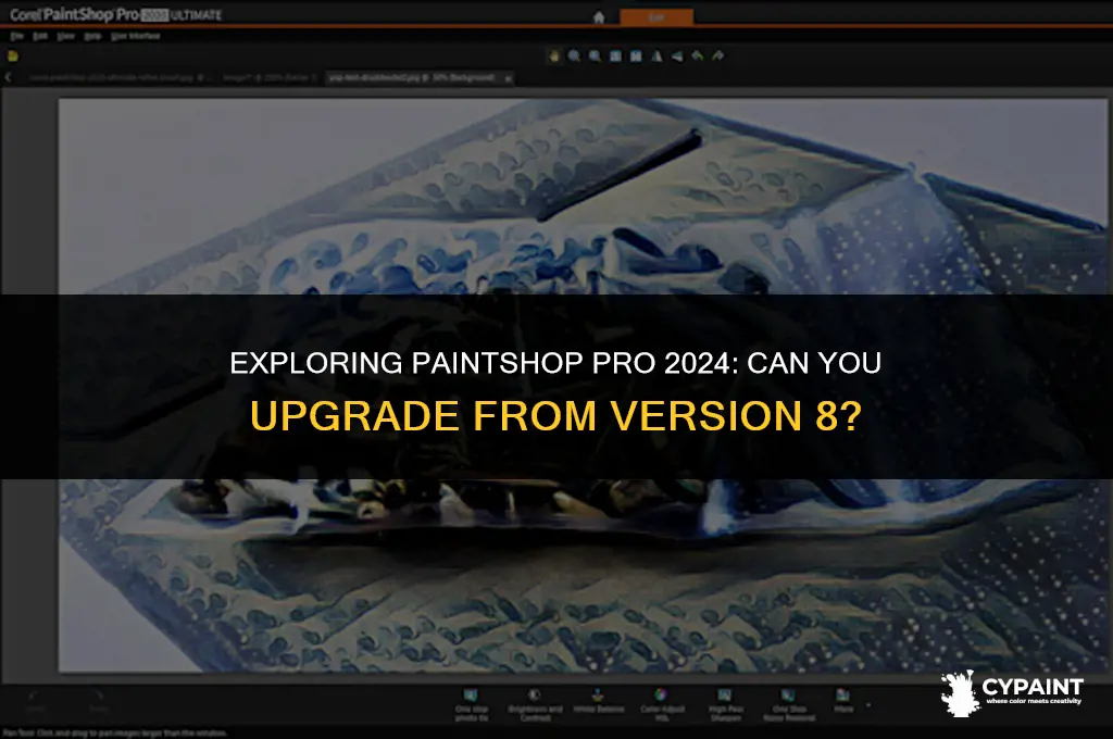 Exploring Paintshop Pro 2024: Can You Upgrade From Version 8? | CyPaint