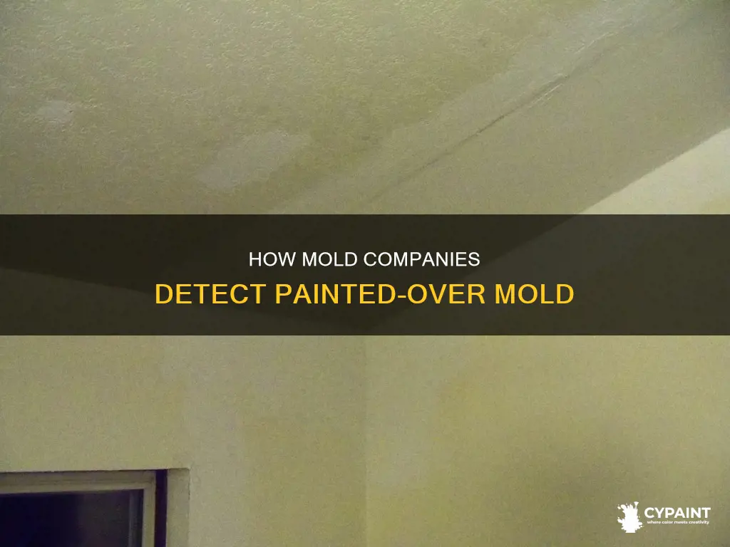 How Mold Companies Detect Painted-Over Mold | CyPaint