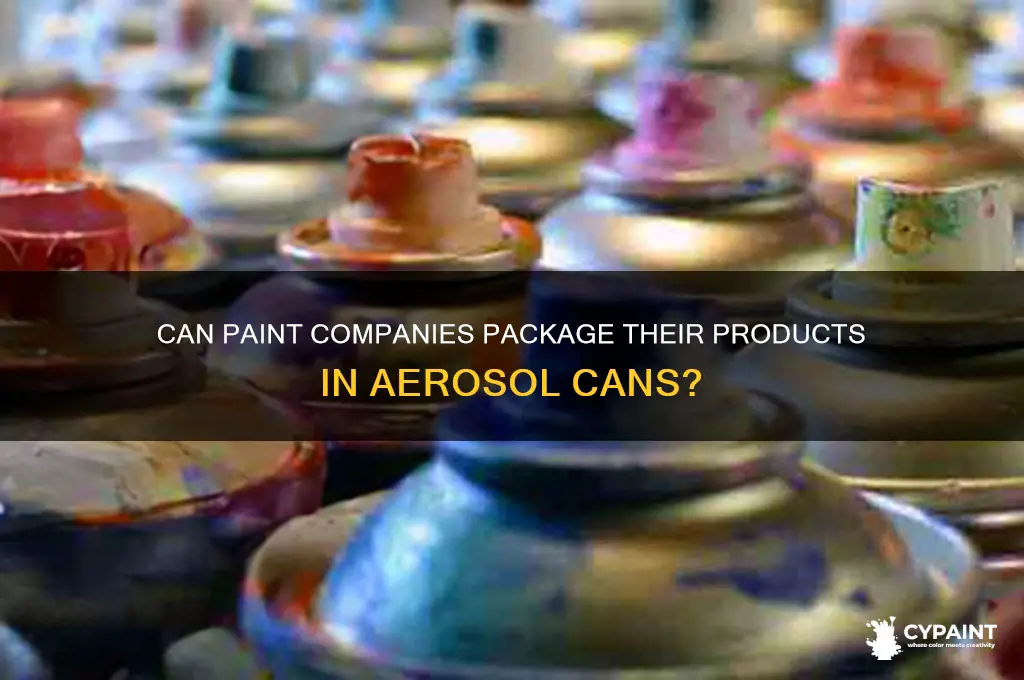 Can Paint Companies Package Their Products In Aerosol Cans? | CyPaint