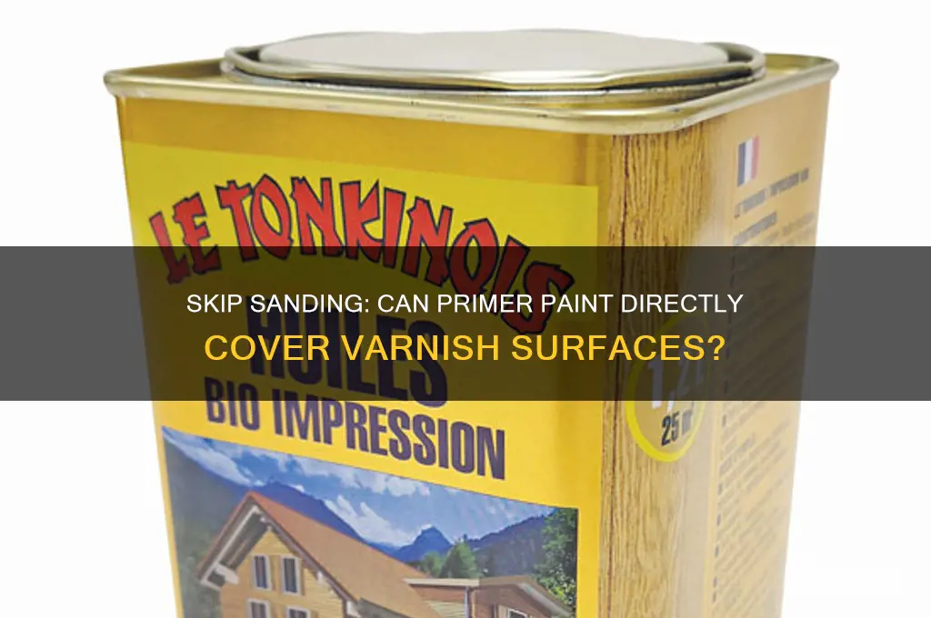 Skip Sanding: Can Primer Paint Directly Cover Varnish Surfaces? | CyPaint