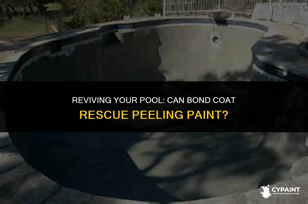 Reviving Your Pool: Can Bond Coat Rescue Peeling Paint? | CyPaint