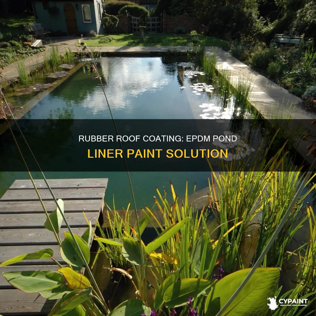 Rubber Roof Coating: Epdm Pond Liner Paint Solution | CyPaint