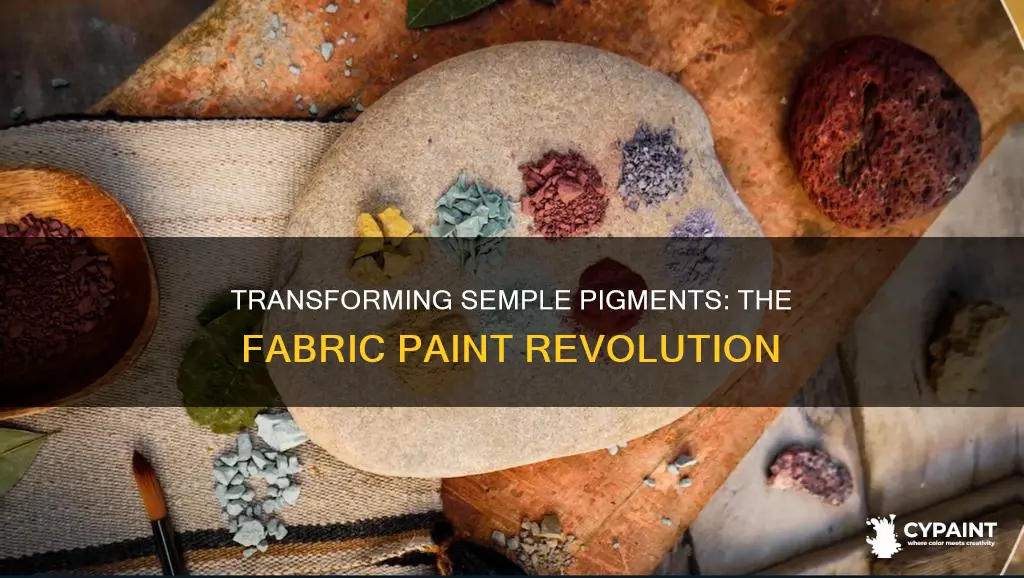 Transforming Semple Pigments: The Fabric Paint Revolution | CyPaint