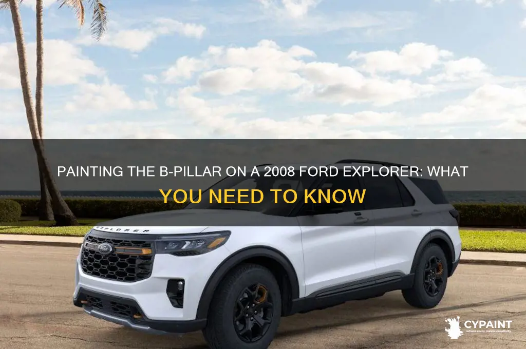 Painting The B-Pillar On A 2008 Ford Explorer: What You Need To Know ...
