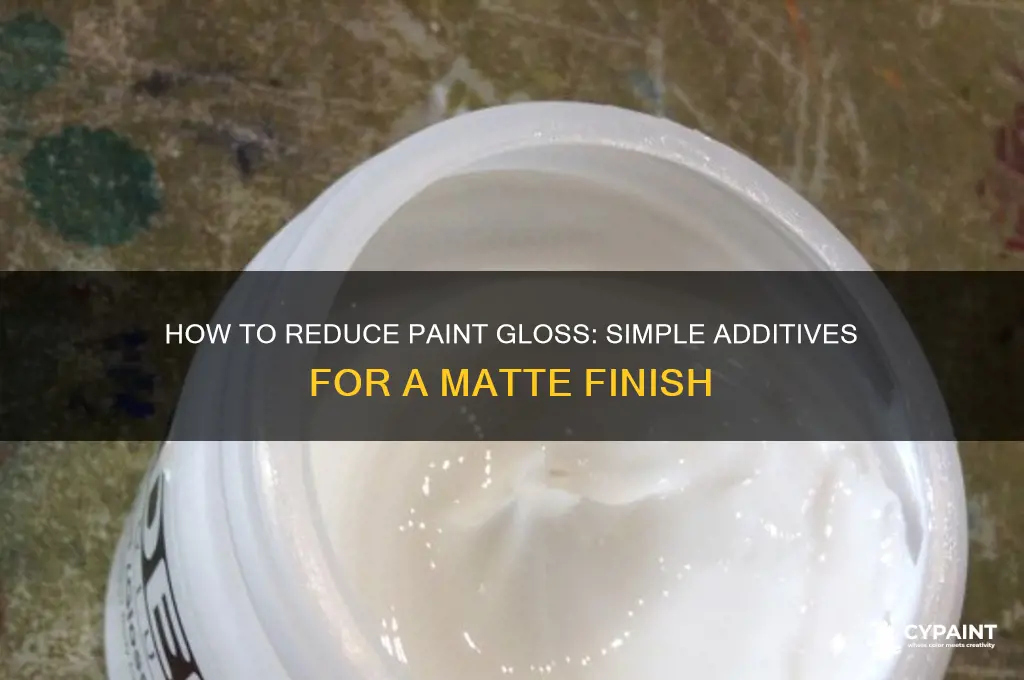 How To Reduce Paint Gloss: Simple Additives For A Matte Finish | CyPaint