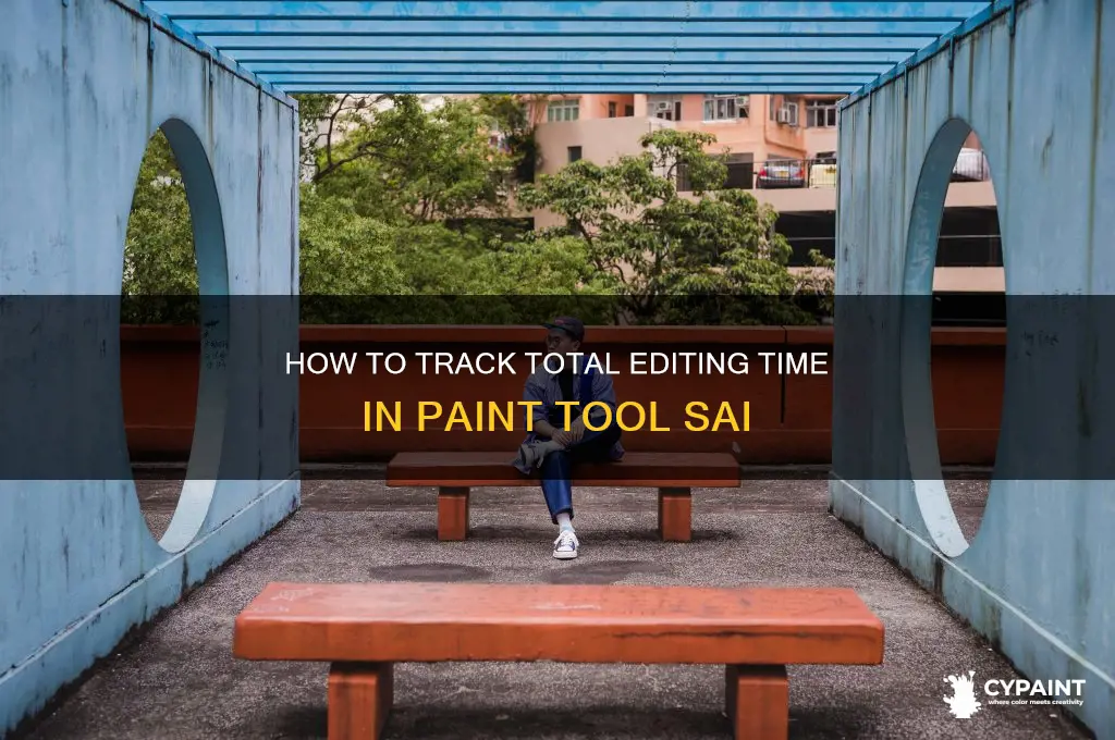 How To Track Total Editing Time In Paint Tool Sai | CyPaint