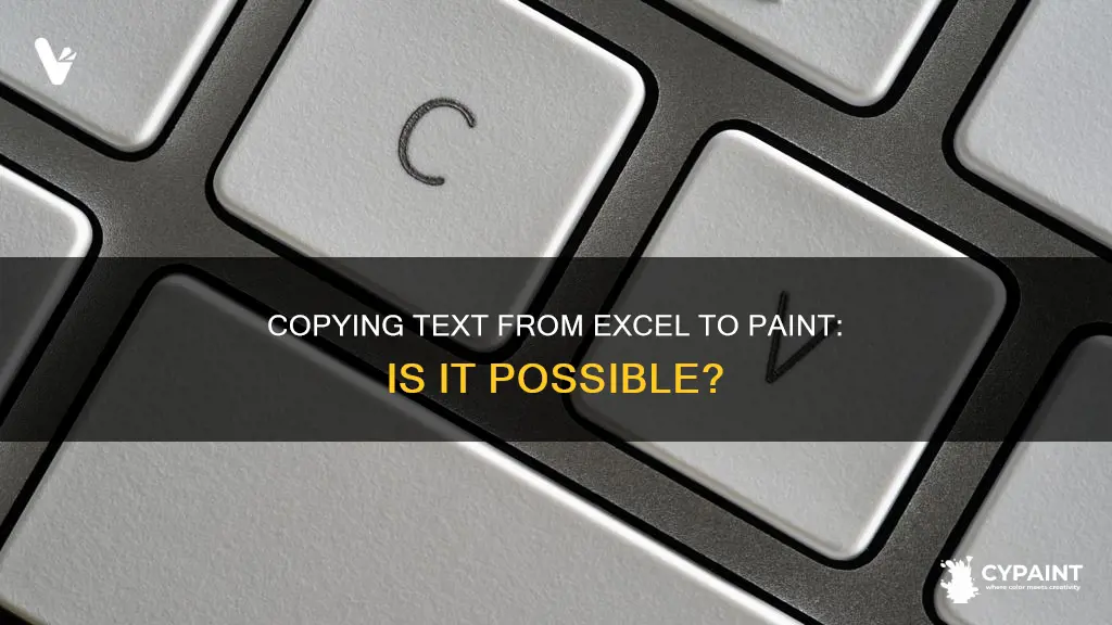 Copying Text From Excel To Paint: Is It Possible? | CyPaint