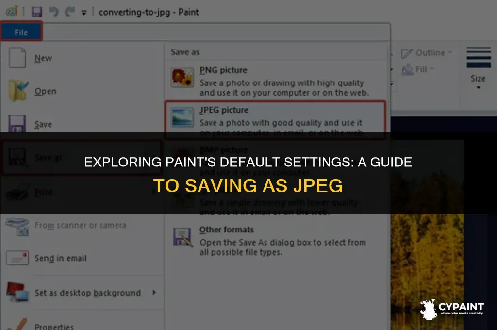 Exploring Paint's Default Settings: A Guide To Saving As Jpeg | CyPaint