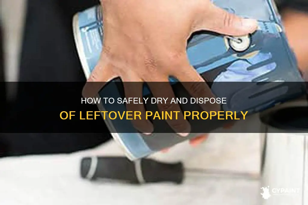 How To Safely Dry And Dispose Of Leftover Paint Properly | CyPaint
