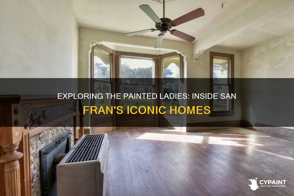 Exploring The Painted Ladies: Inside San Fran's Iconic Homes | CyPaint
