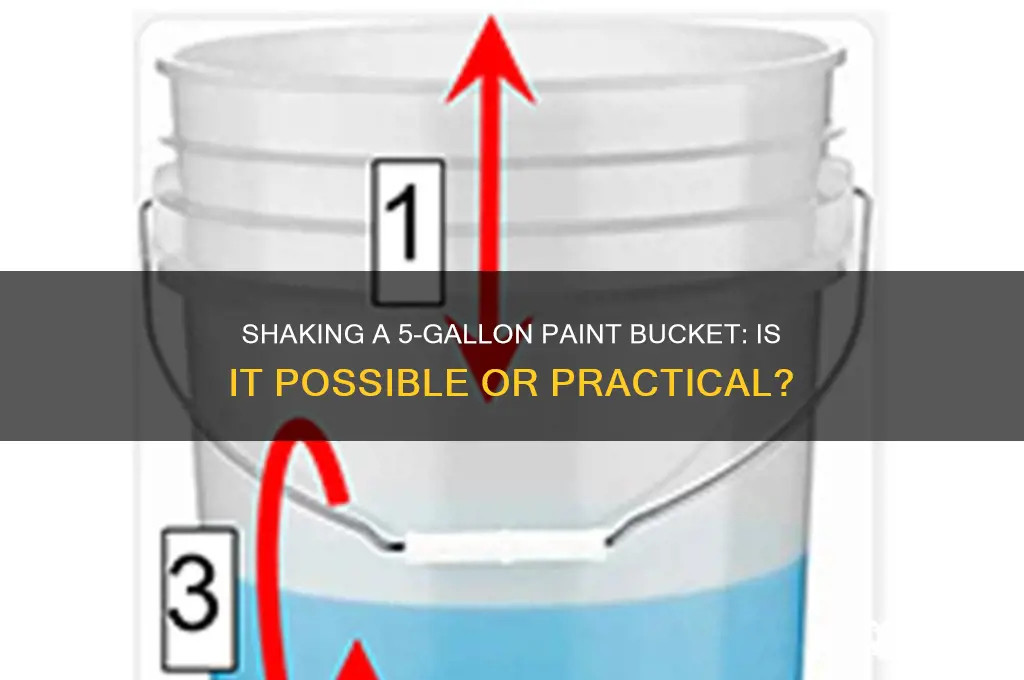 Shaking A 5-Gallon Paint Bucket: Is It Possible Or Practical? | CyPaint