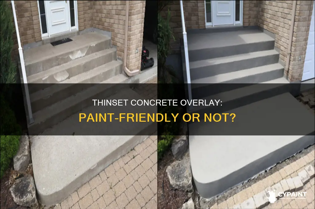 Thinset Concrete Overlay: Paint-Friendly Or Not? | CyPaint