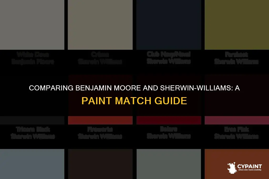 Comparing Benjamin Moore And Sherwin-Williams: A Paint Match Guide ...