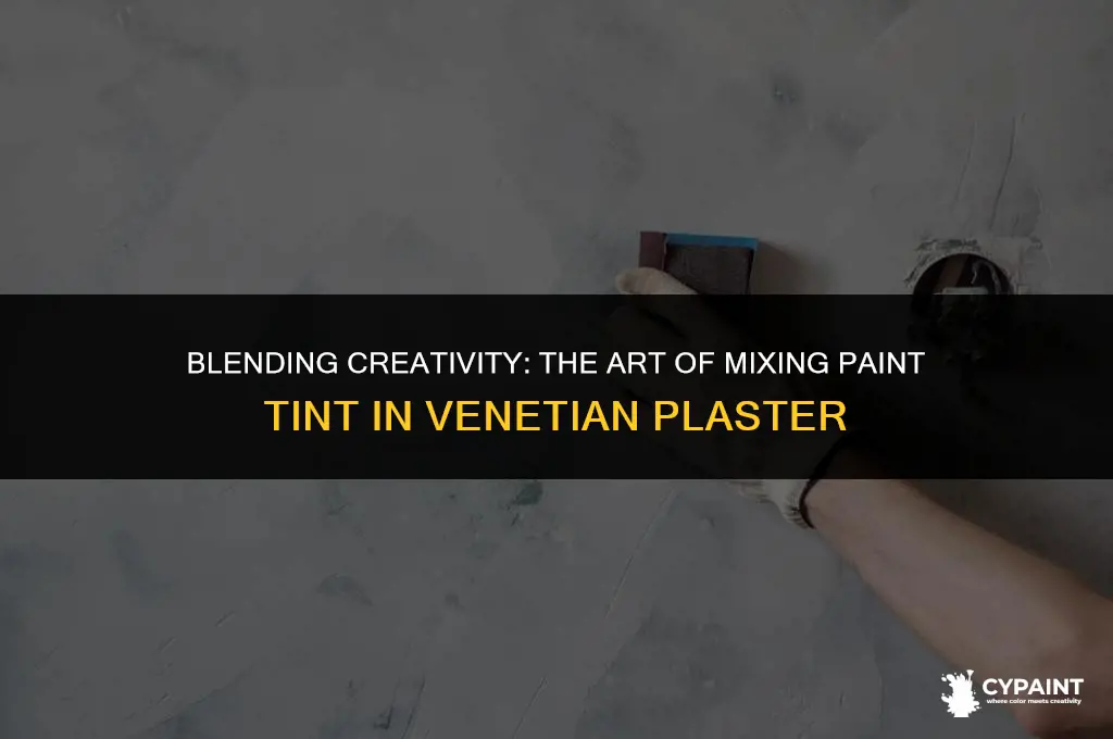 Blending Creativity: The Art Of Mixing Paint Tint In Venetian Plaster ...