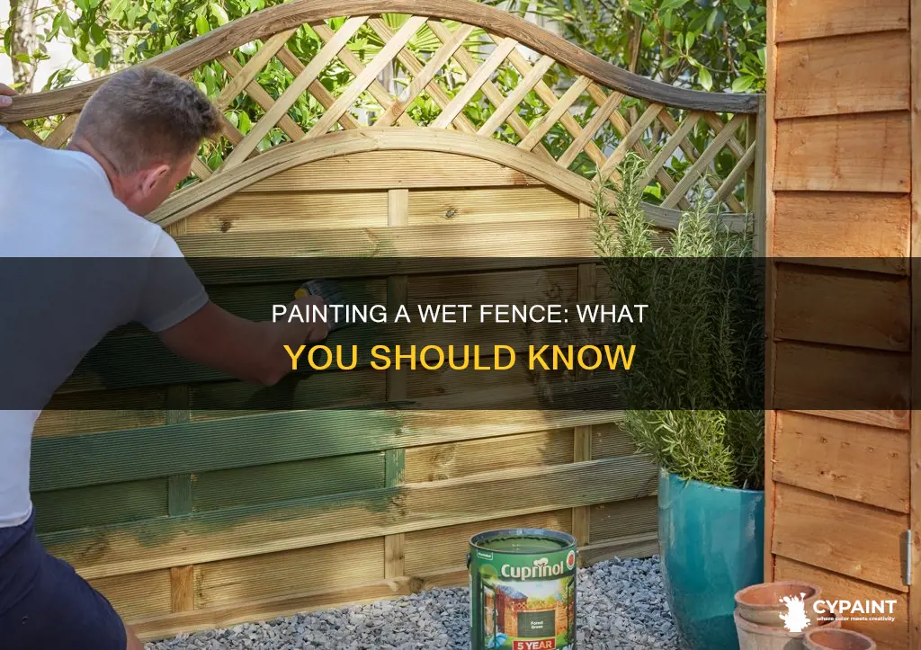 Painting A Wet Fence: What You Should Know | CyPaint