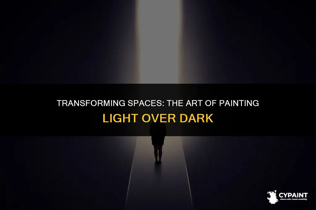 Transforming Spaces: The Art Of Painting Light Over Dark | CyPaint