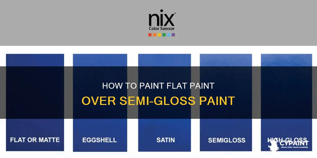 How To Paint Flat Paint Over Semi-Gloss Paint | CyPaint