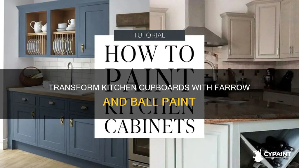 Transform Kitchen Cupboards With Farrow And Ball Paint | CyPaint