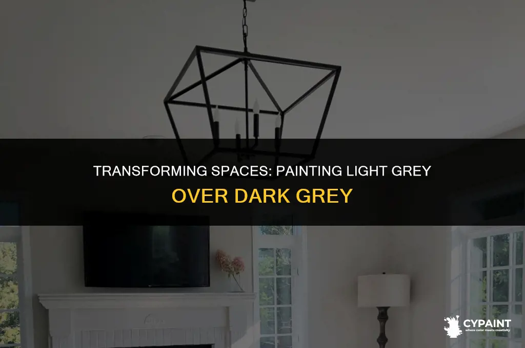 Transforming Spaces: Painting Light Grey Over Dark Grey | CyPaint