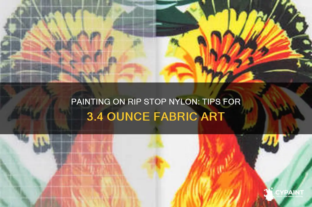 Painting On Rip Stop Nylon: Tips For 3.4 Ounce Fabric Art | CyPaint