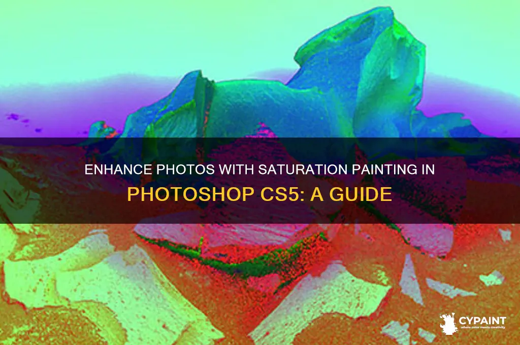 Enhance Photos With Saturation Painting In Photoshop Cs5: A Guide | CyPaint
